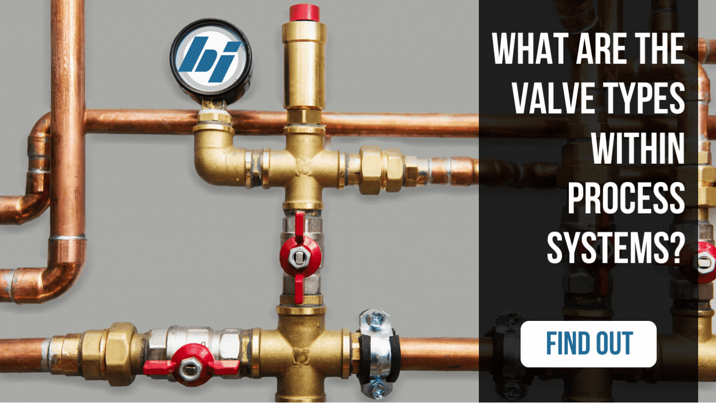 What are All the Valve Types Within Process Systems?
